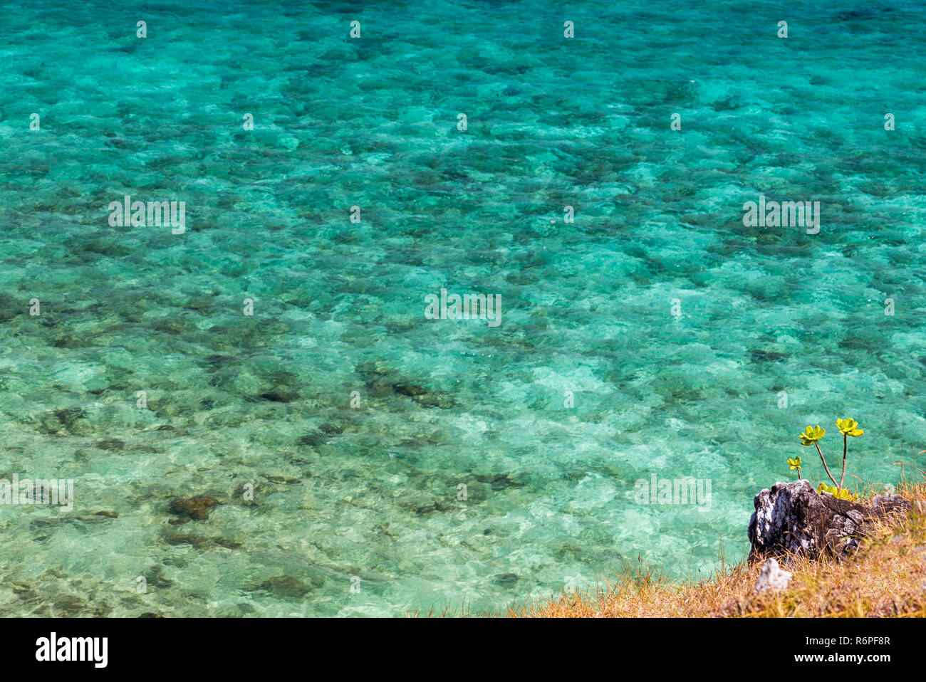 sea surface wit rock aerial Stock Photo - Alamy