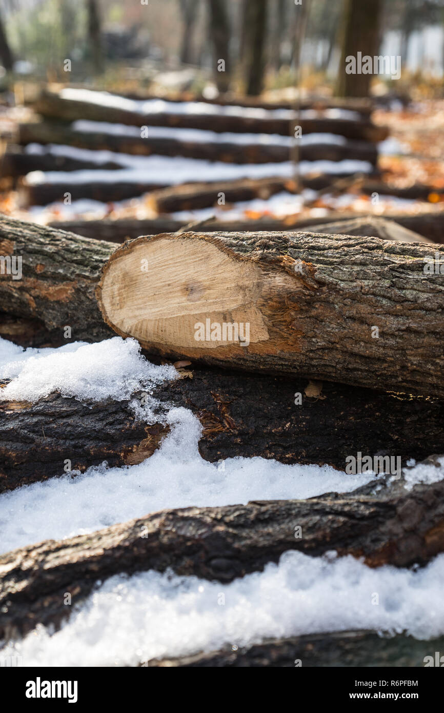 Stack of wood fire logs covered in snow Stock Photo - Alamy