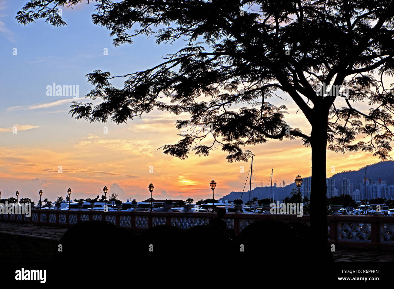 The luxury yacht, footpath, silhouette of tree and fences, gradient sky ...