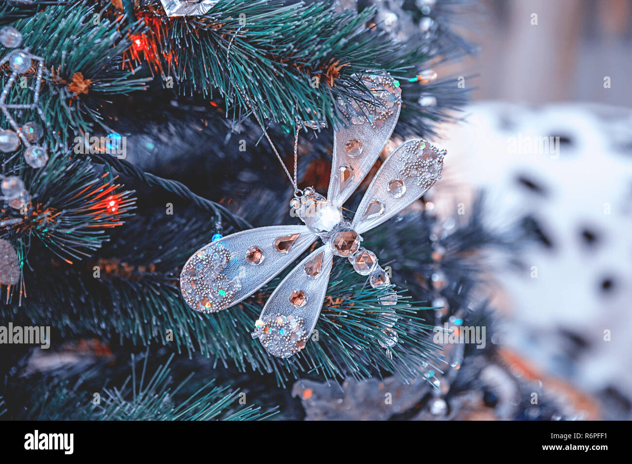 Dragonfly room hi-res stock photography and images - Alamy