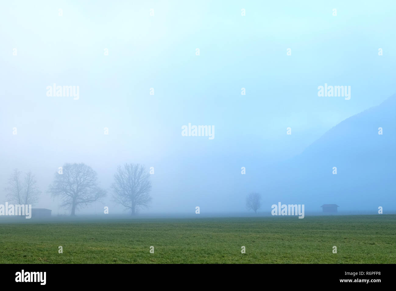 misty mood in the moor,kendlmÃ¼hlfilzen,bavaria,germany Stock Photo - Alamy