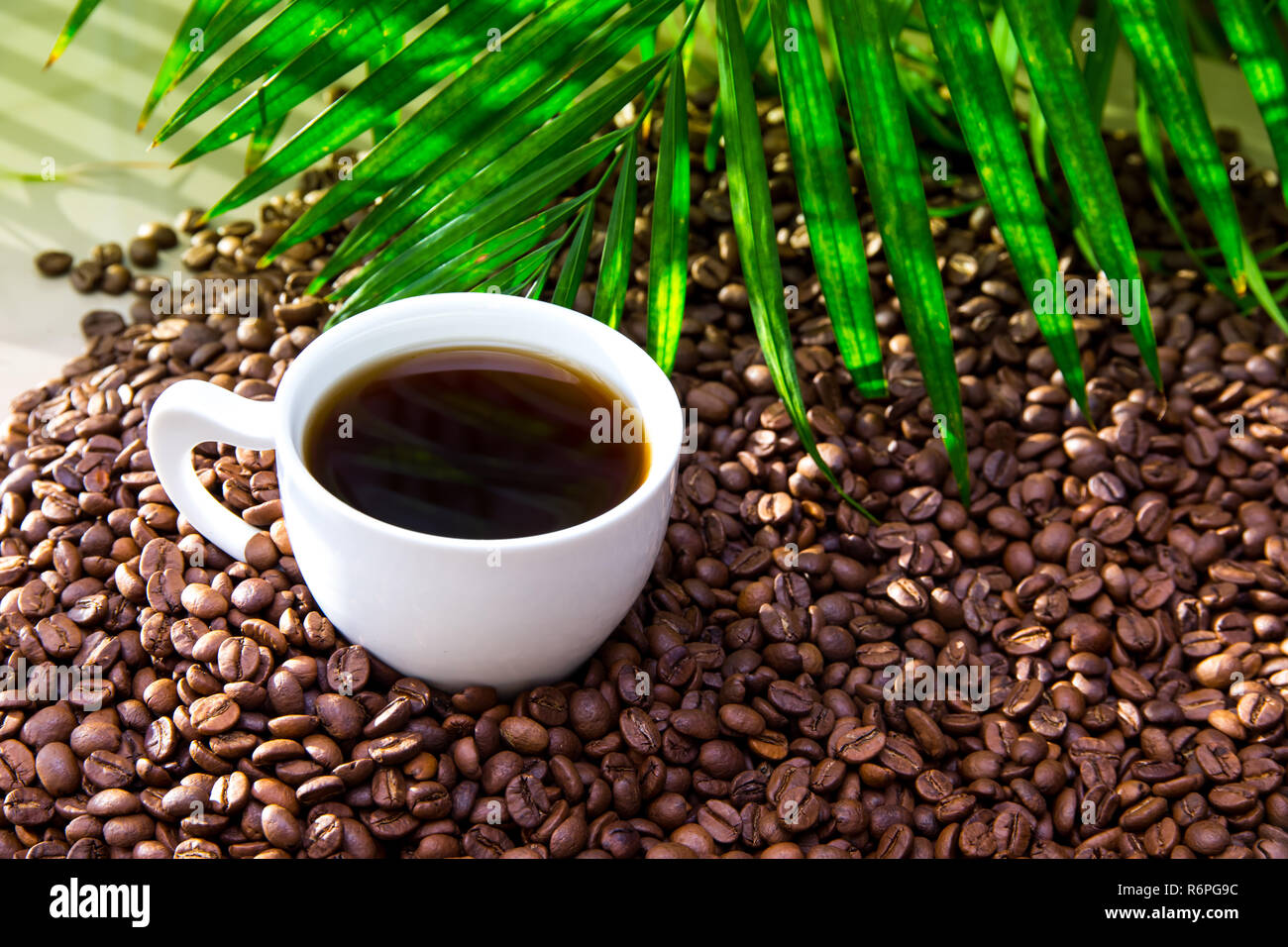 Coffee for all Stock Photo - Alamy