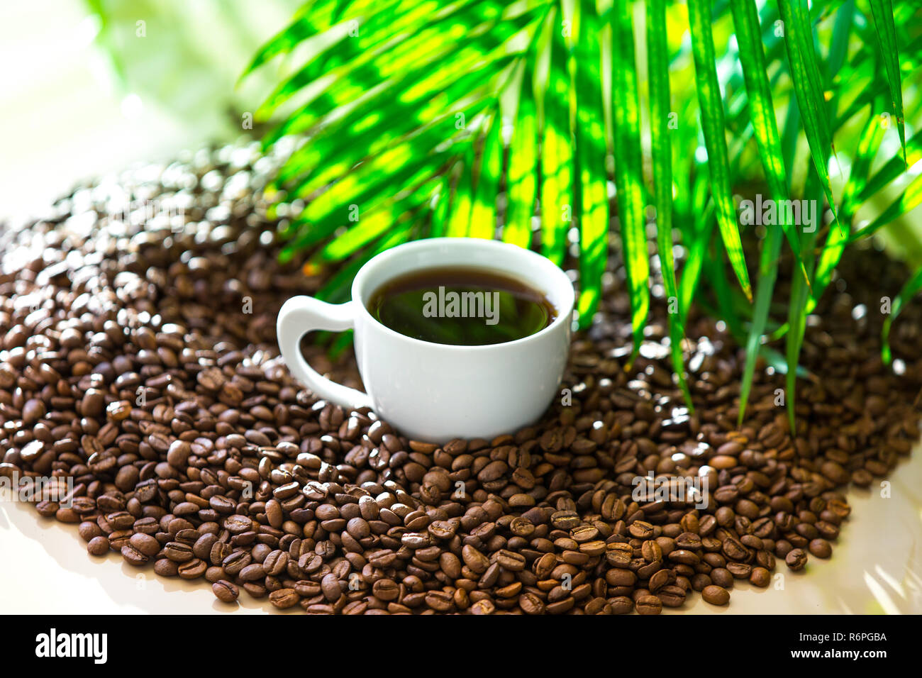 Coffee for all Stock Photo - Alamy
