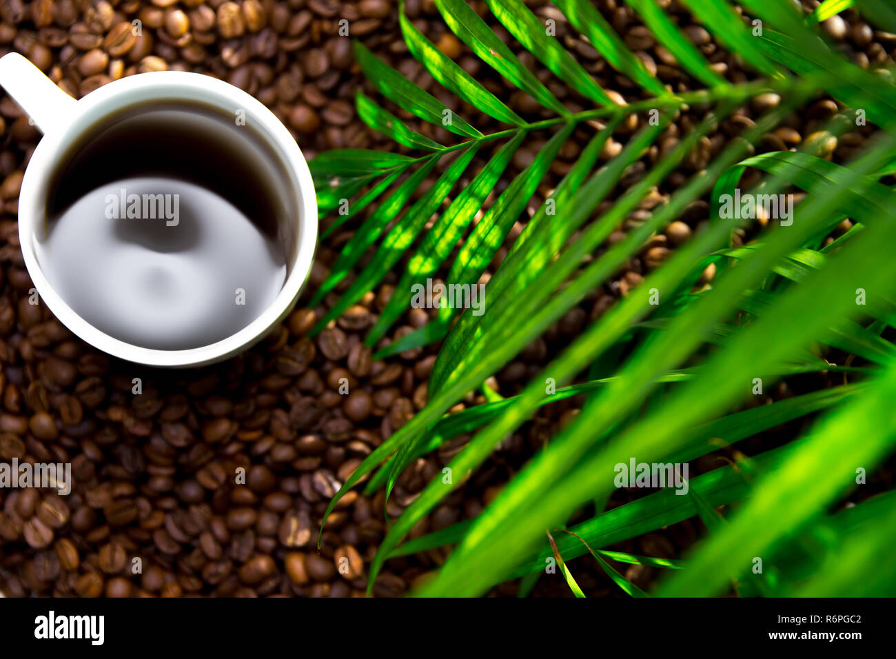 Coffee for all Stock Photo - Alamy