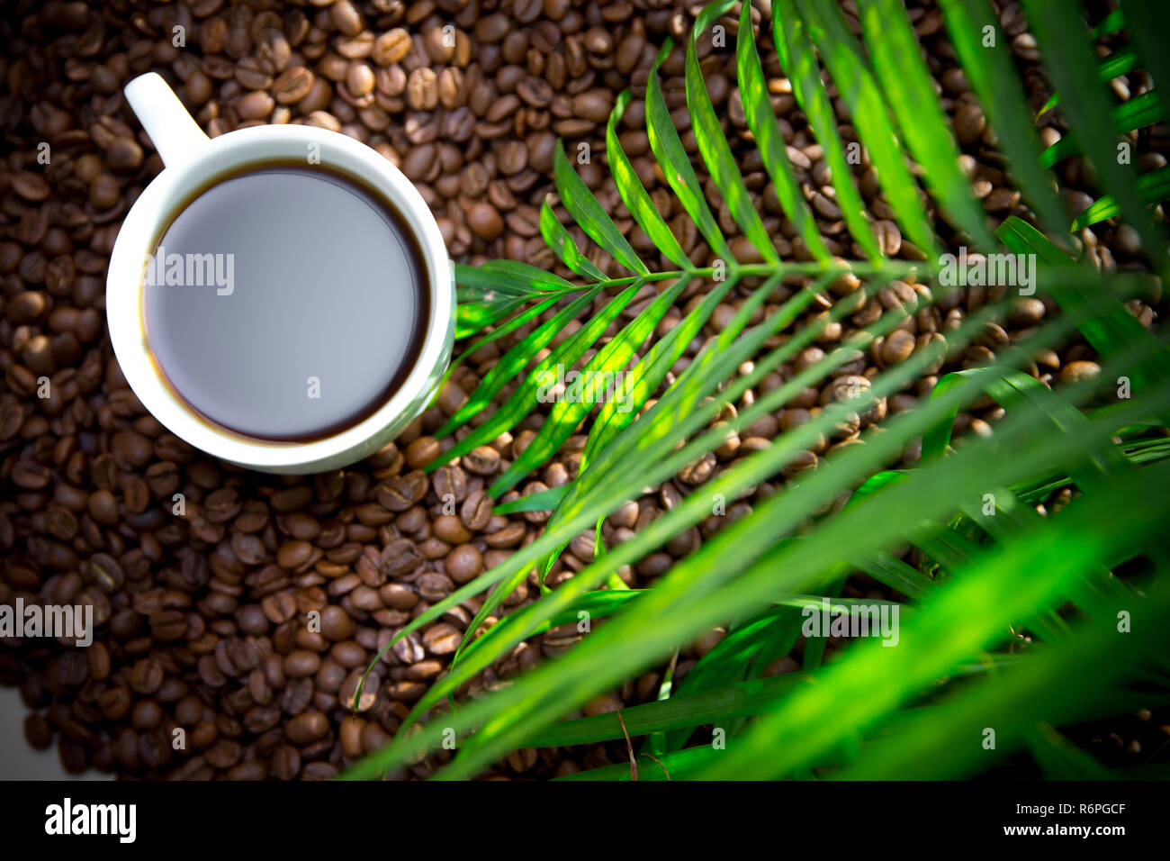 Coffee for all Stock Photo - Alamy