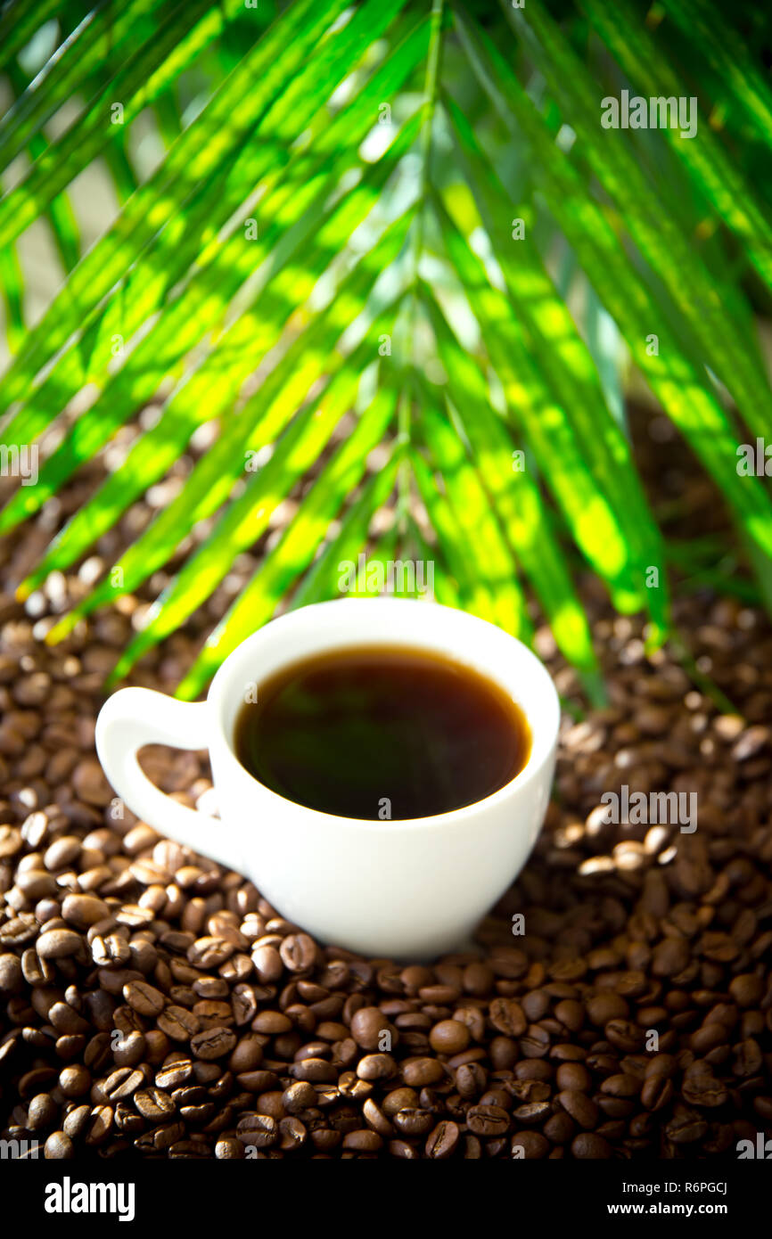 Coffee for all Stock Photo - Alamy