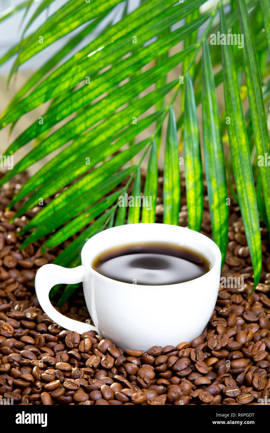 Coffee for all Stock Photo - Alamy