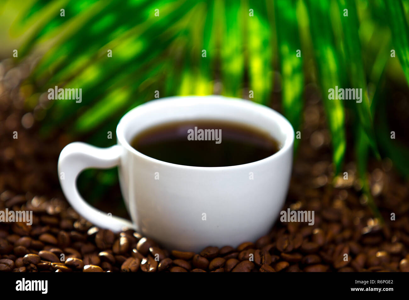 Coffee for all Stock Photo - Alamy