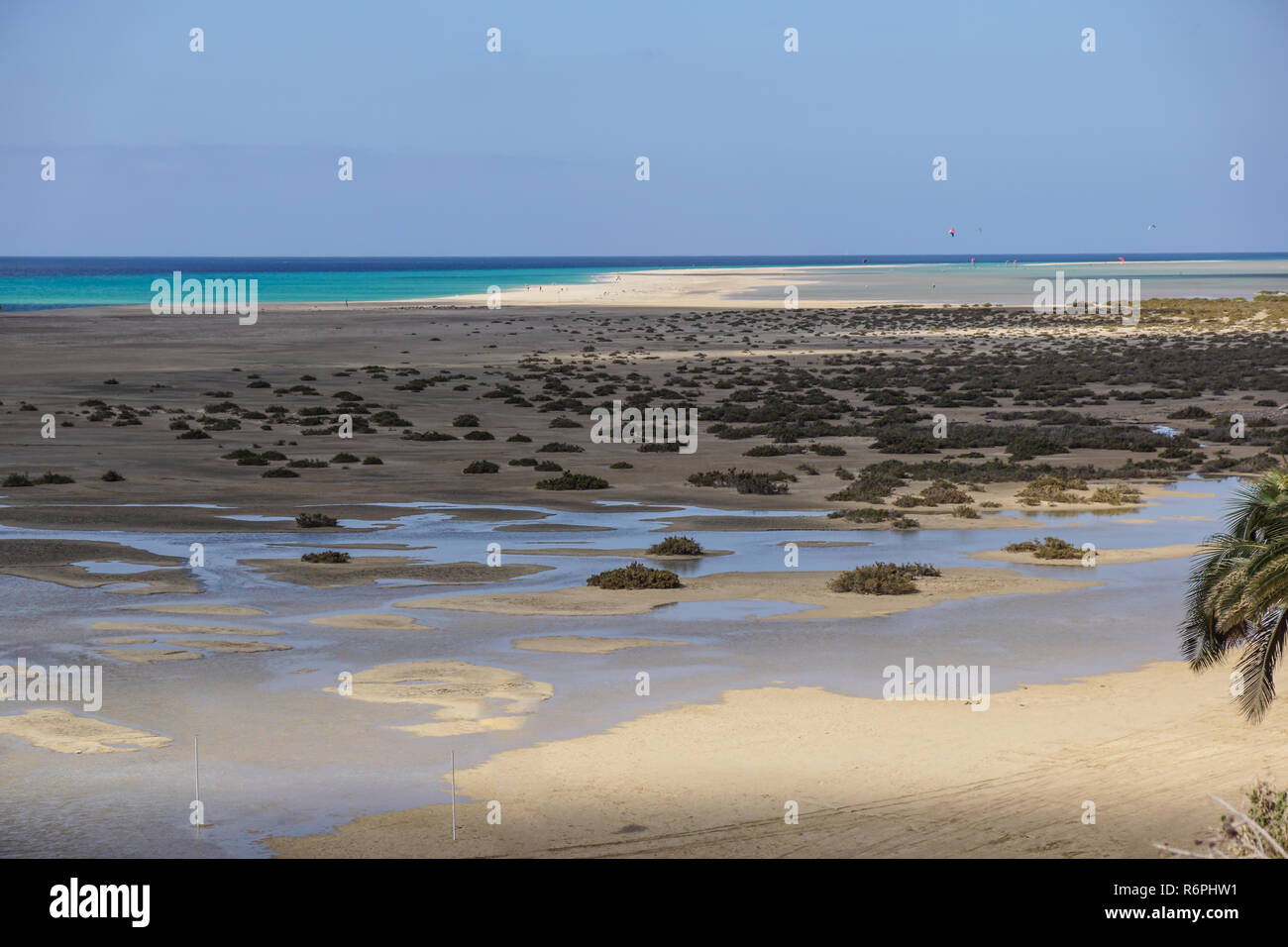 Bassamarea hi-res stock photography and images - Alamy