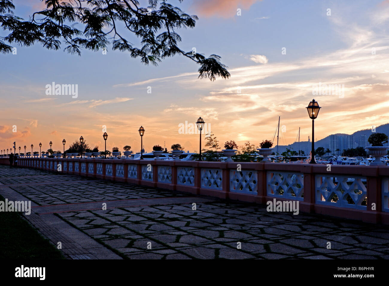 The luxury yacht, footpath, fence, silhouette of tree and gradient sky ...