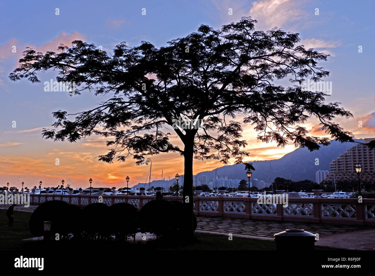 The luxury yacht, footpath, silhouette of tree and fences, gradient sky ...