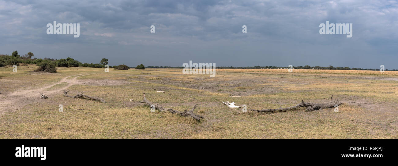 Botswana river hi-res stock photography and images - Alamy