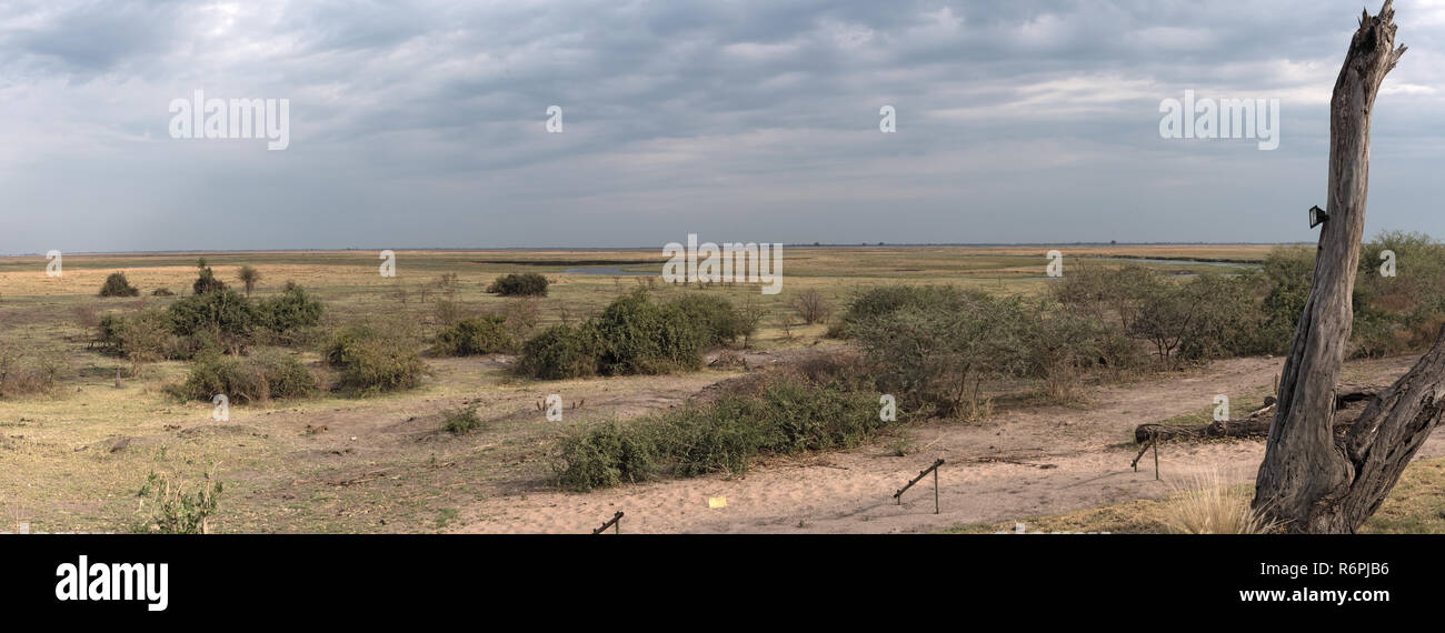 Botswana river hi-res stock photography and images - Alamy