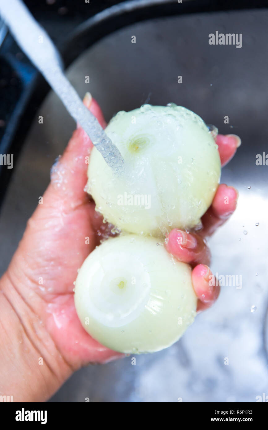 Peeled onion under running water Stock Photo - Alamy
