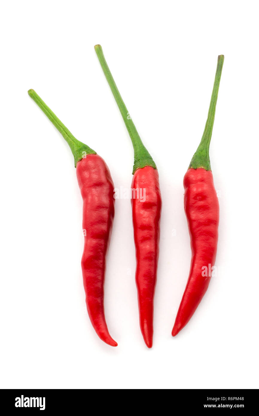 Hot chili pepper or small chili padi isolated on white background Stock ...