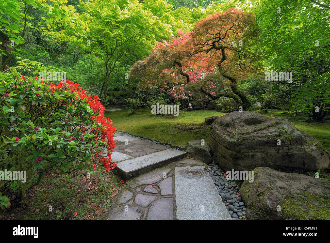 Azalea flowers japanese stone hi-res stock photography and images - Alamy
