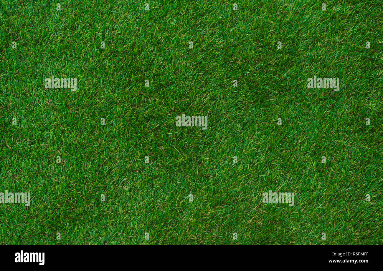 green fresh summer grass, background, texture Stock Photo - Alamy