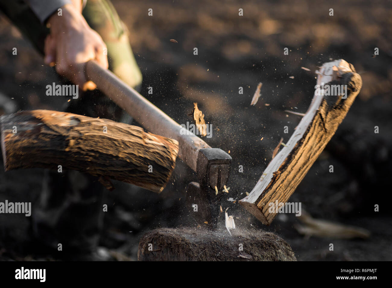 lumberjack cutting wood Stock Photo - Alamy