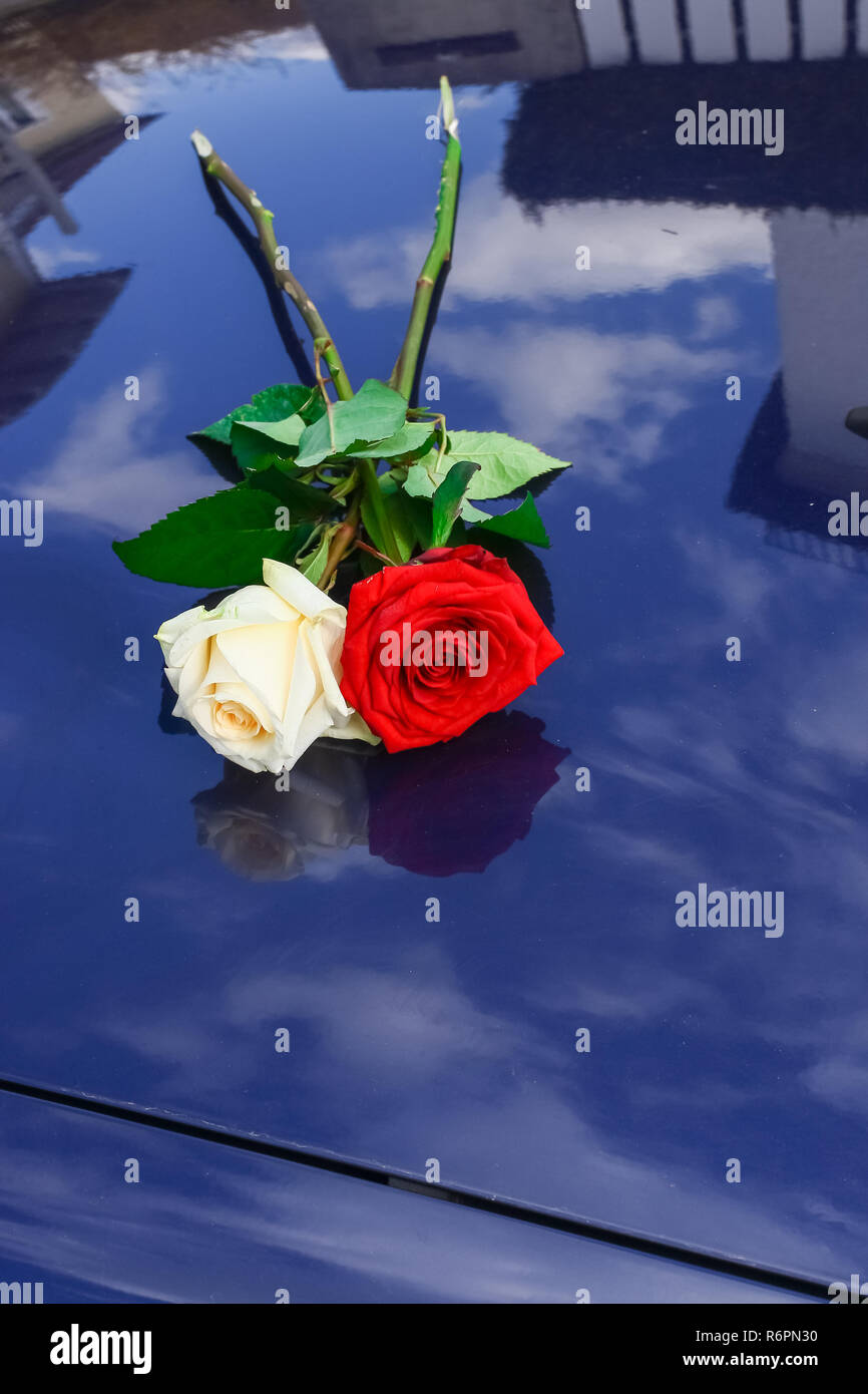 White and red roses, bouquet Stock Photo - Alamy