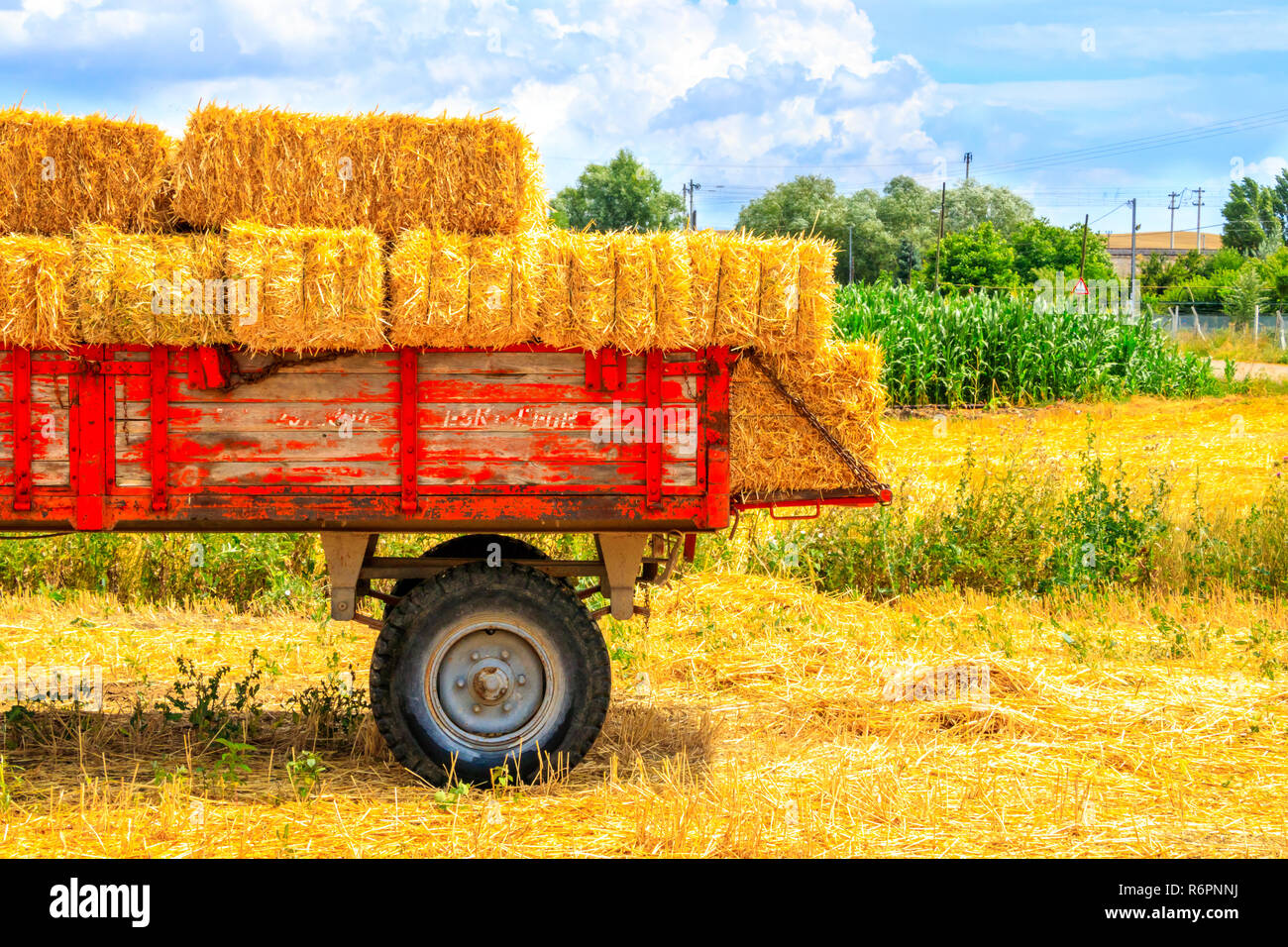Hay wagon with hay bales on wheat field Stock Photo - Alamy