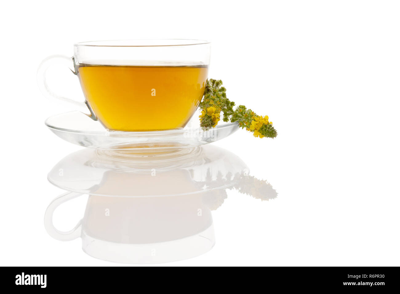 Common agrimony tea isolated Stock Photo - Alamy