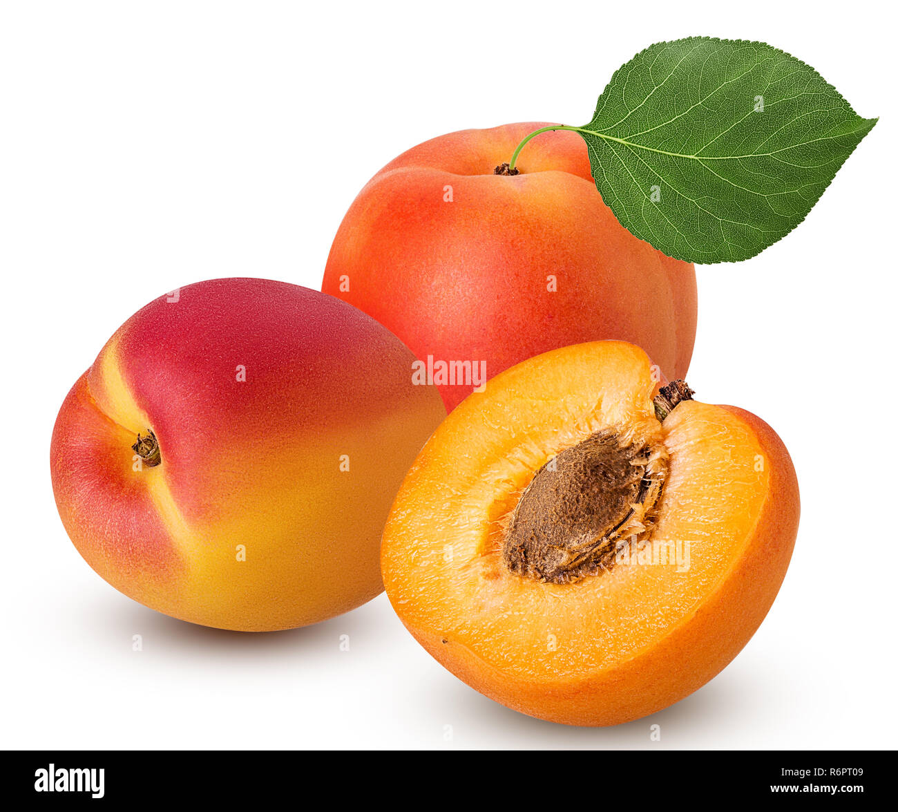 Two fresh ripe apricot with leaf one cut in half with bone isolated on ...