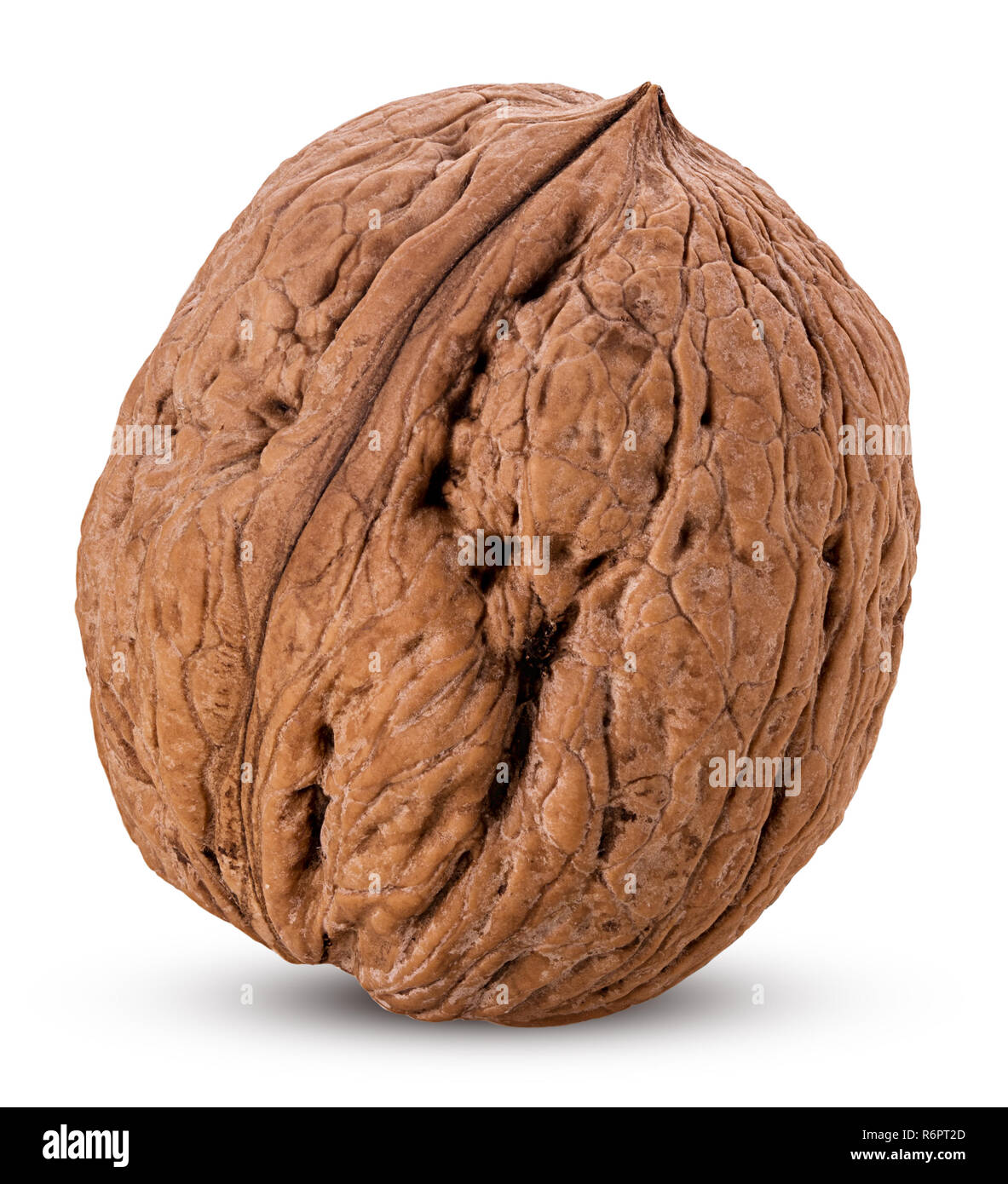 Walnut whole isolated on white background. Clipping Path. Full depth of ...