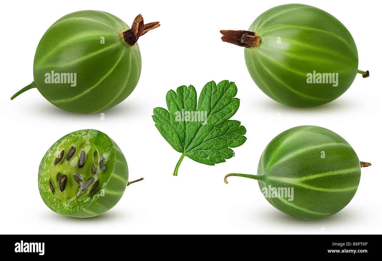 Set ripe green gooseberry whole, cut in half with leaf isolated on ...
