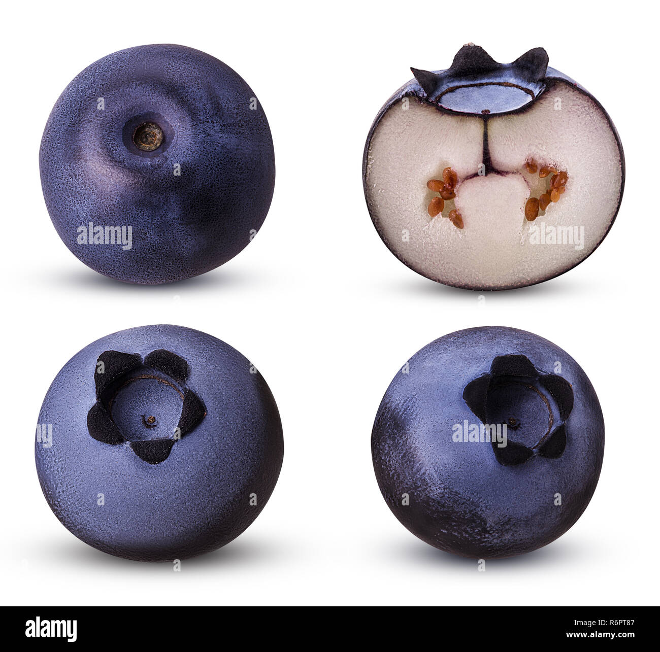 Wild blueberry cut hi-res stock photography and images - Alamy