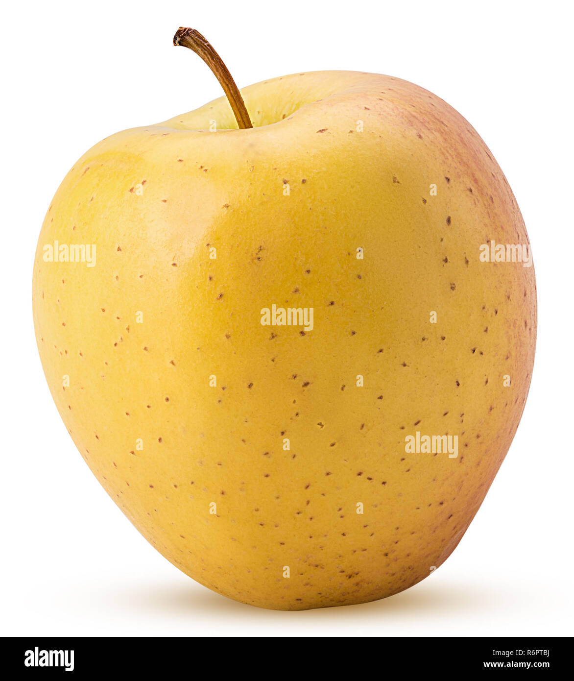 Golden apple delicious isolated on white background. Clipping Path ...