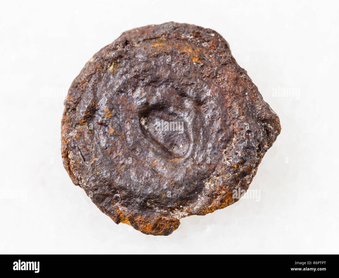raw lake iron ore coin type (limonite) on white Stock Photo - Alamy