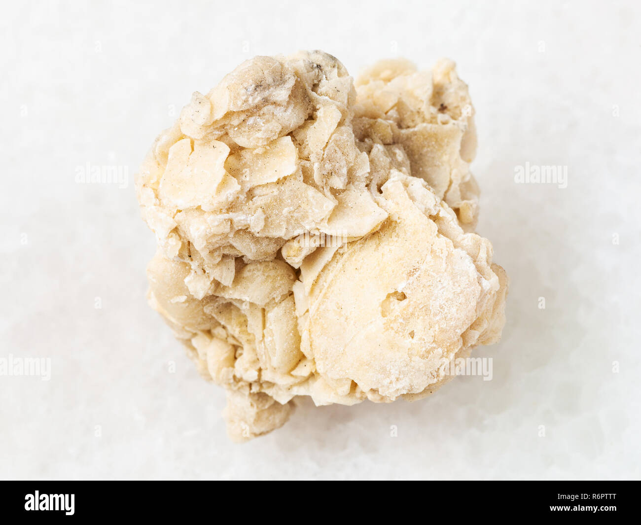 Biochemical limestone hi-res stock photography and images - Alamy
