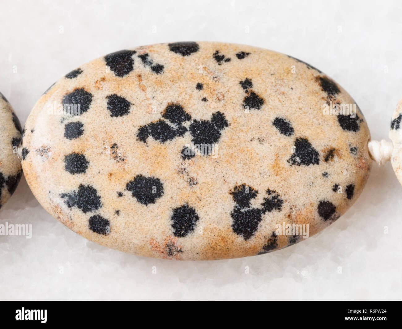 Dalmation jasper hi-res stock photography and images - Alamy