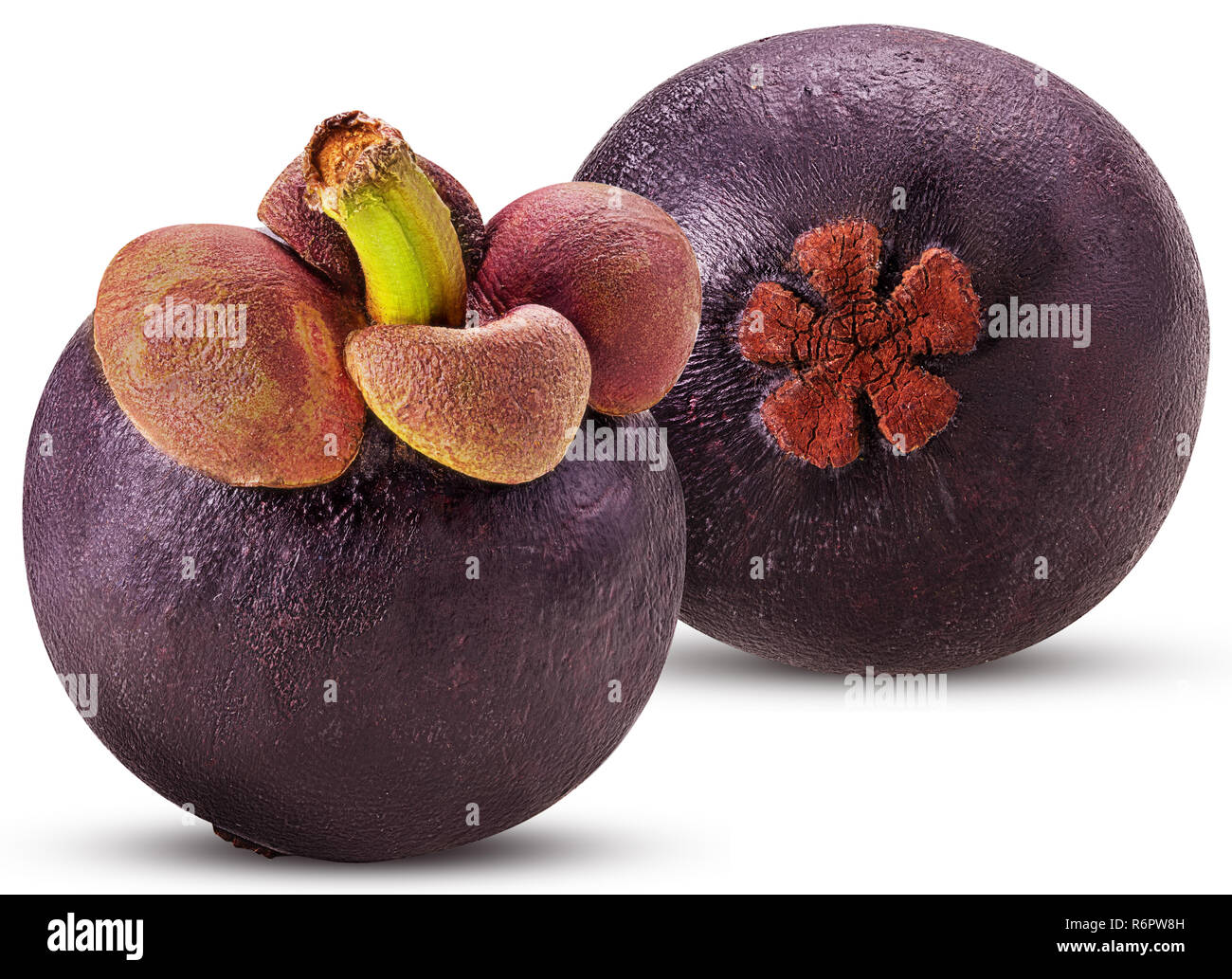 Two fresh mangosteen isolated on white background. Clipping Path. Full ...