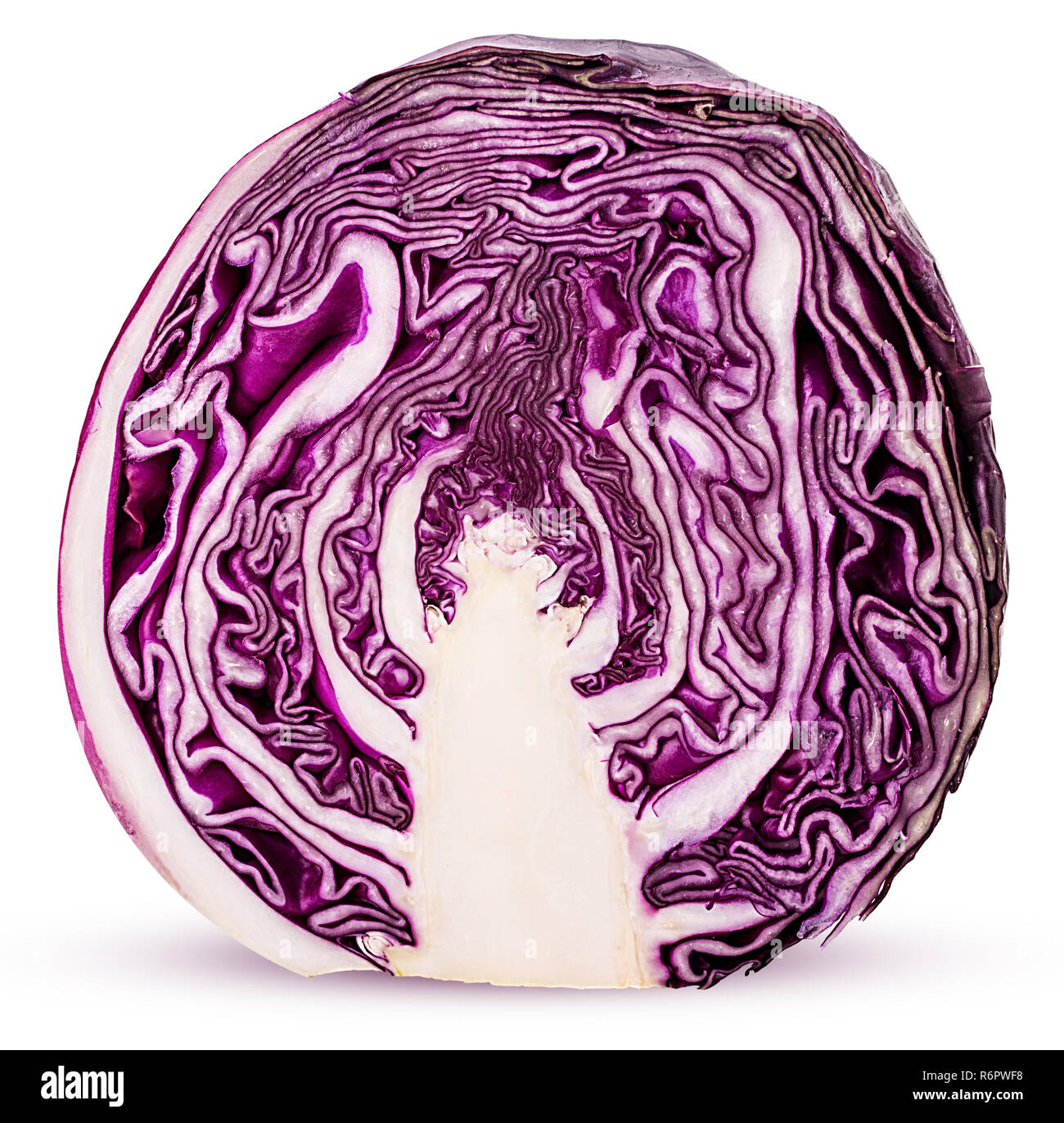 Red cabbage cut in half isolated on white background. Clipping Path ...
