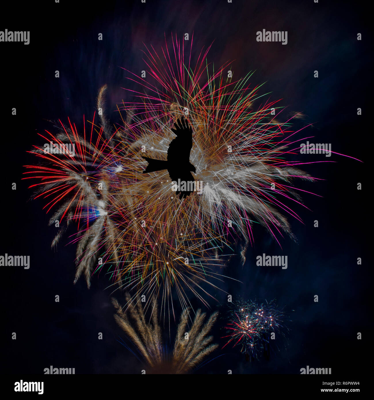 Fireworks show with silhouette of a flying bird Stock Photo - Alamy