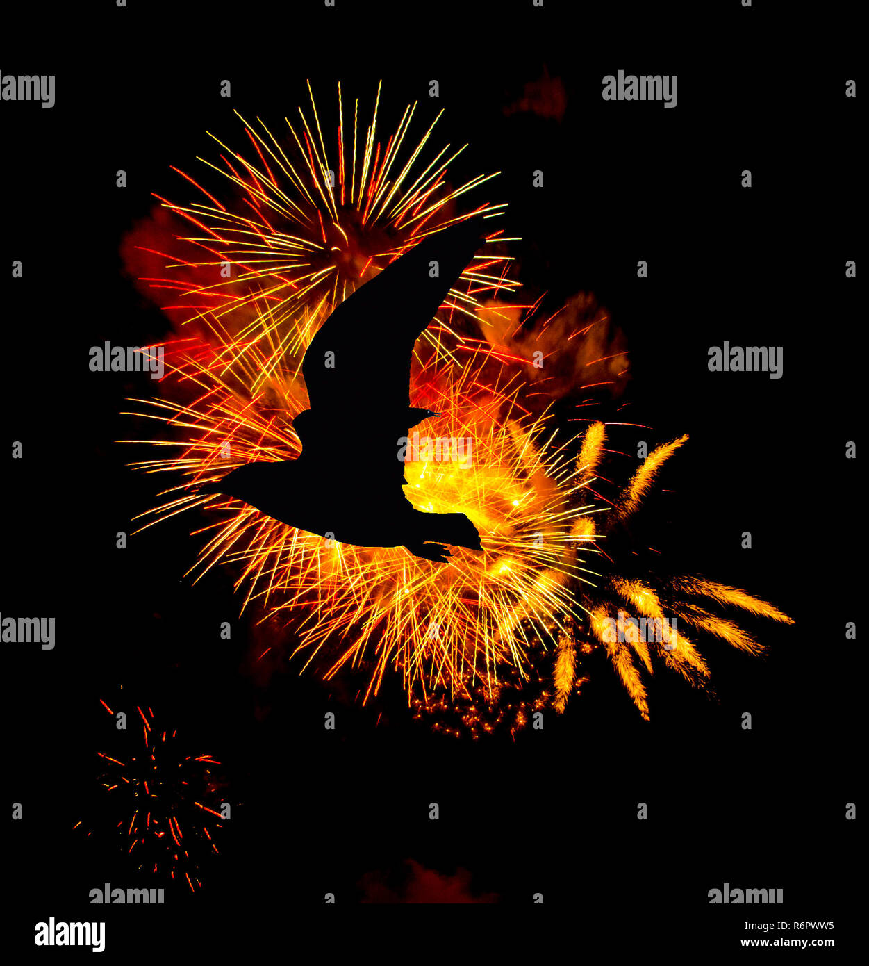 Fireworks show with silhouette of a flying bird Stock Photo - Alamy