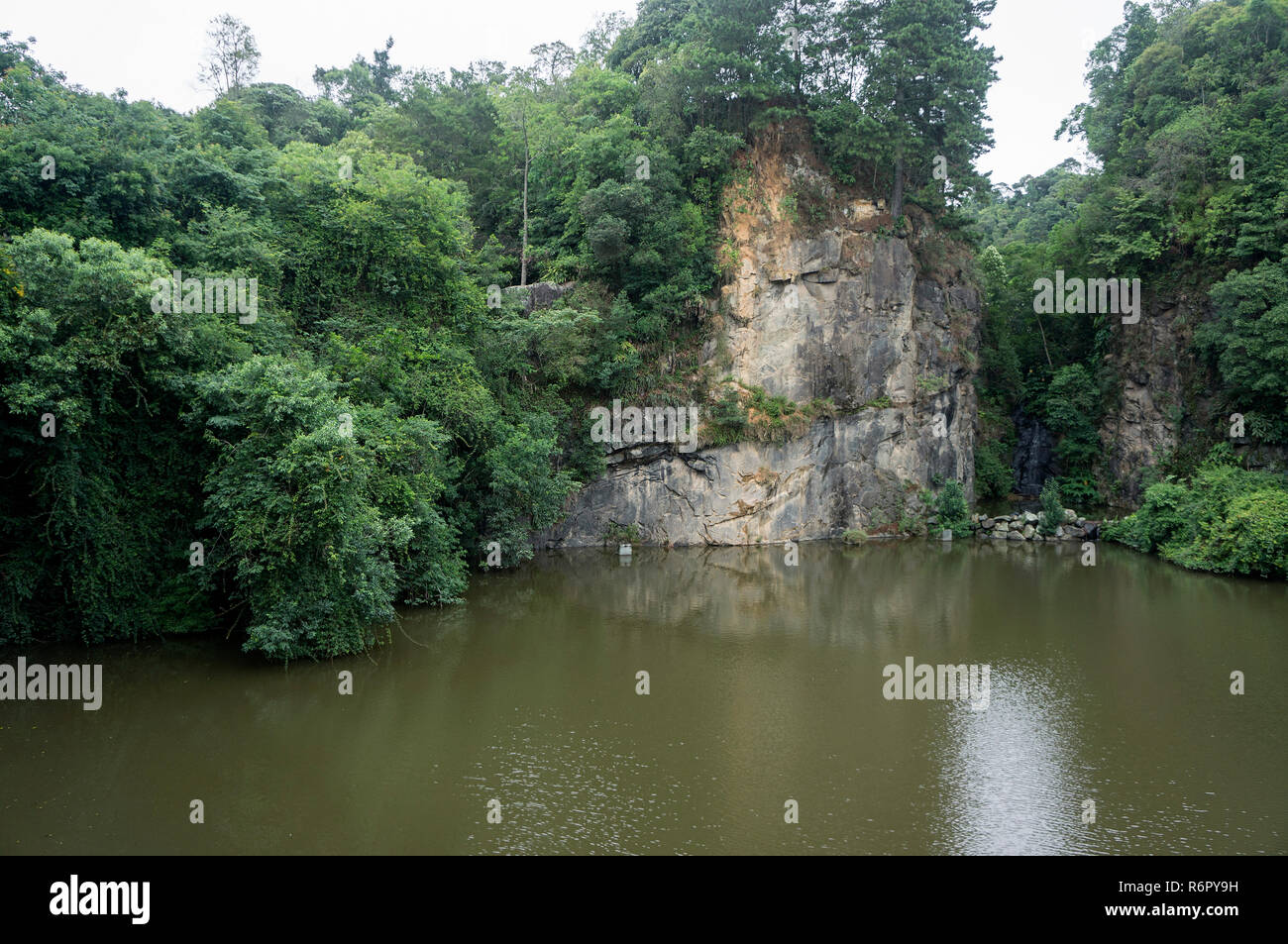 Opera of wire hi-res stock photography and images - Alamy