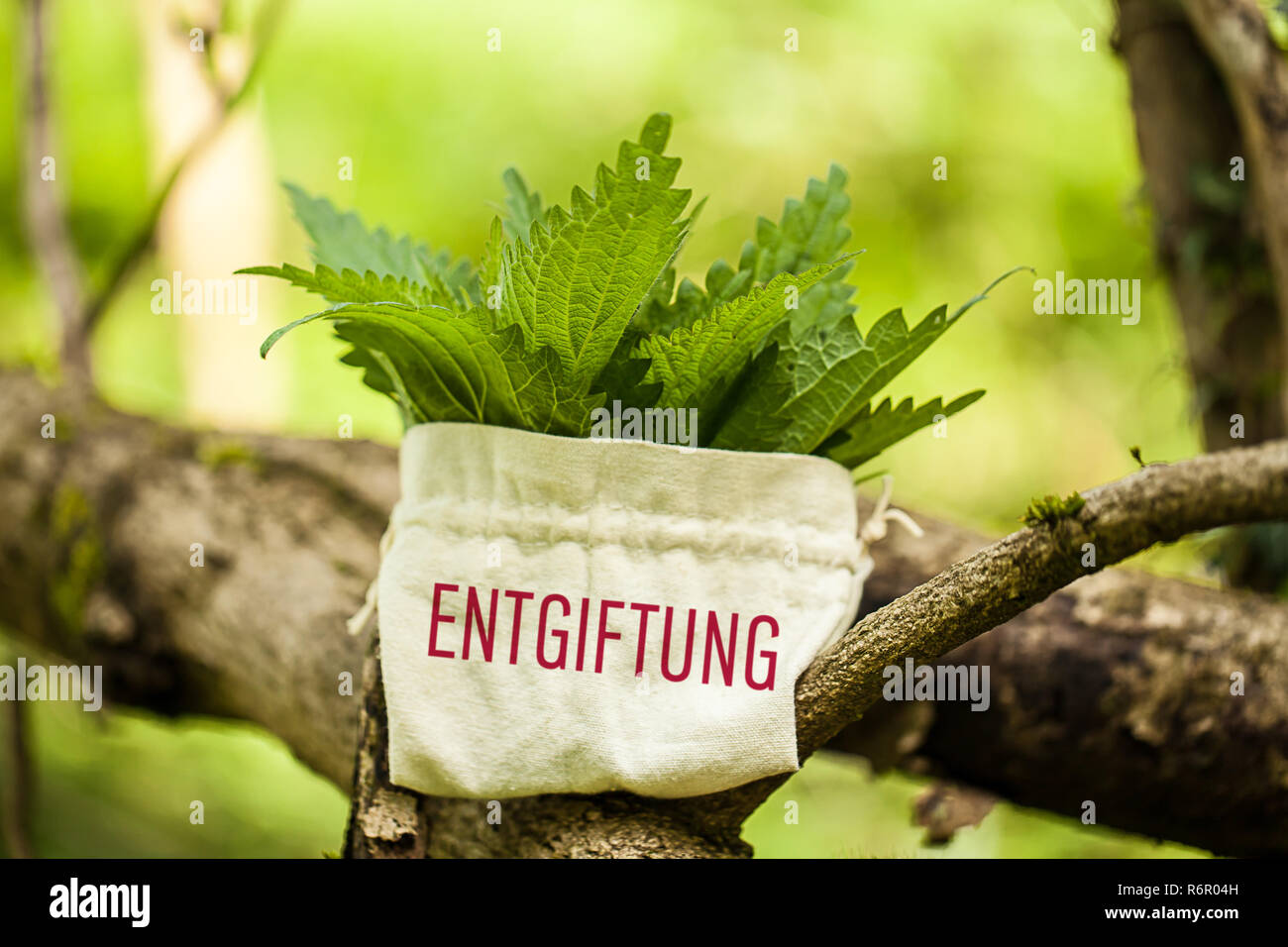 Detoxification system hi-res stock photography and images - Alamy