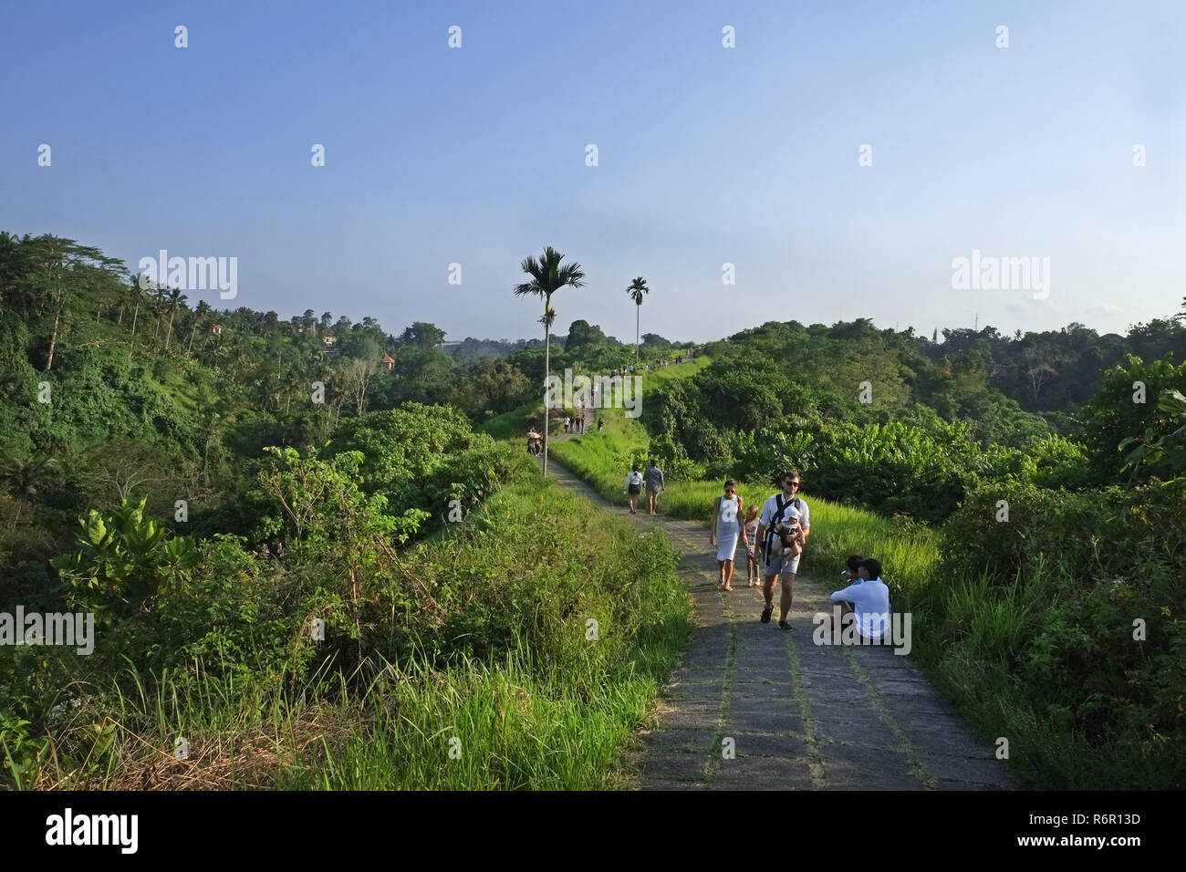 path walk in Ubud Stock Photo - Alamy