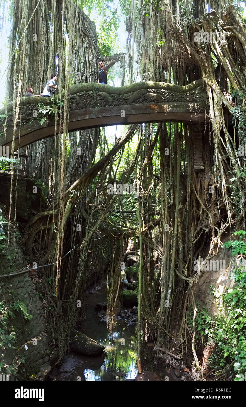 Raign hi-res stock photography and images - Alamy