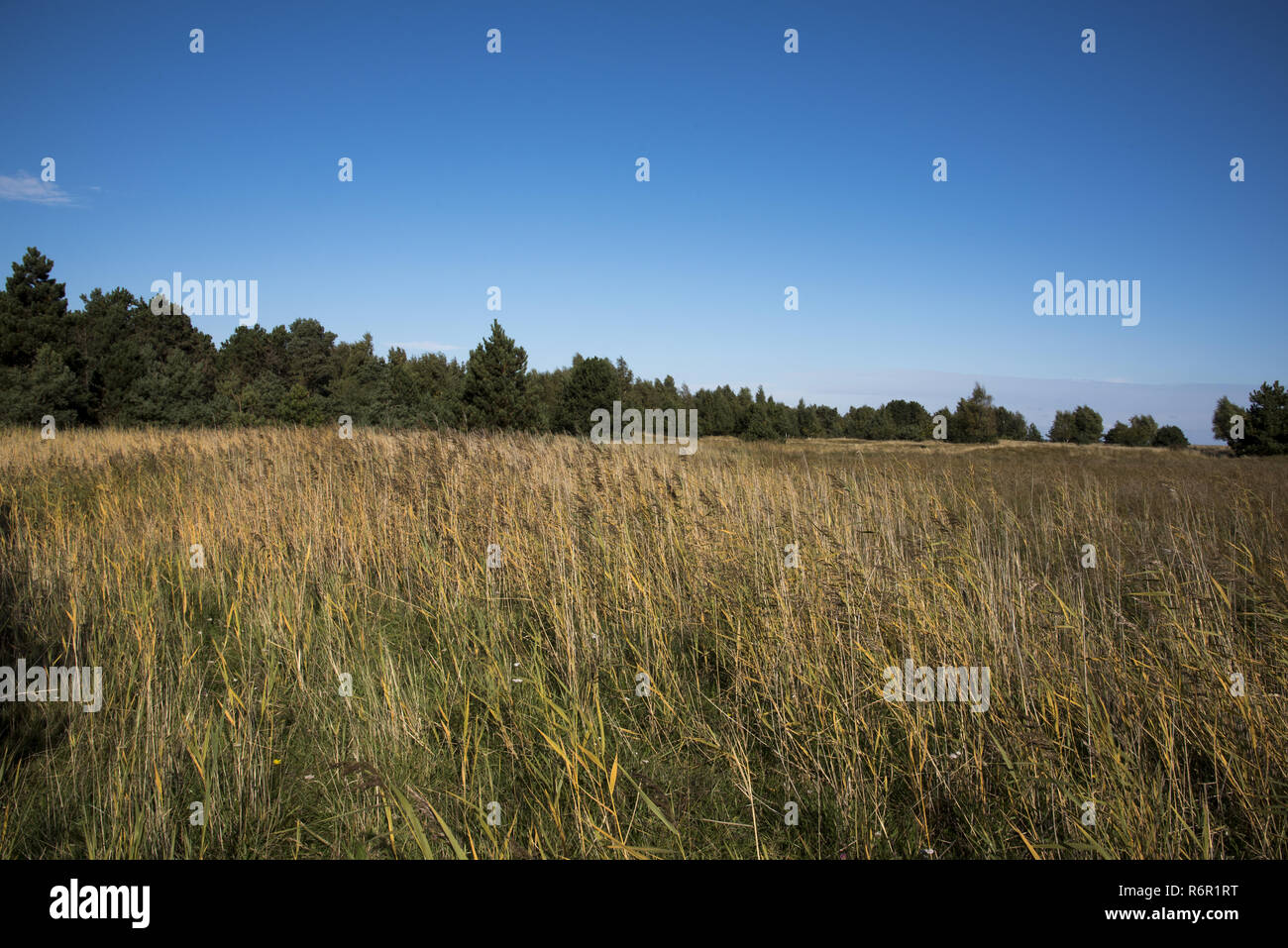 Behind the West coast of Hiddensee Island in Northeastern Germany a ...