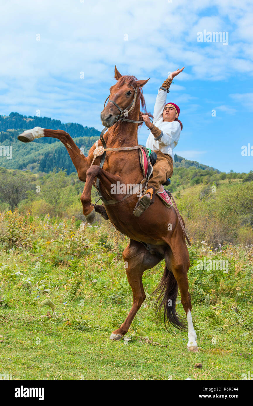 Rearing horse hi-res stock photography and images - Alamy