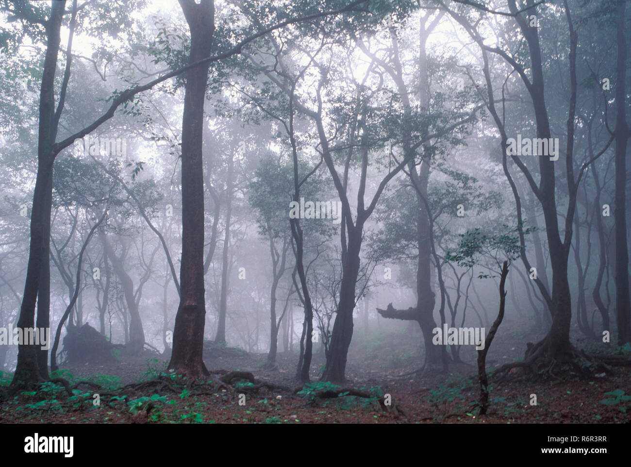 India maharashtra matheran weather station hi-res stock photography and ...