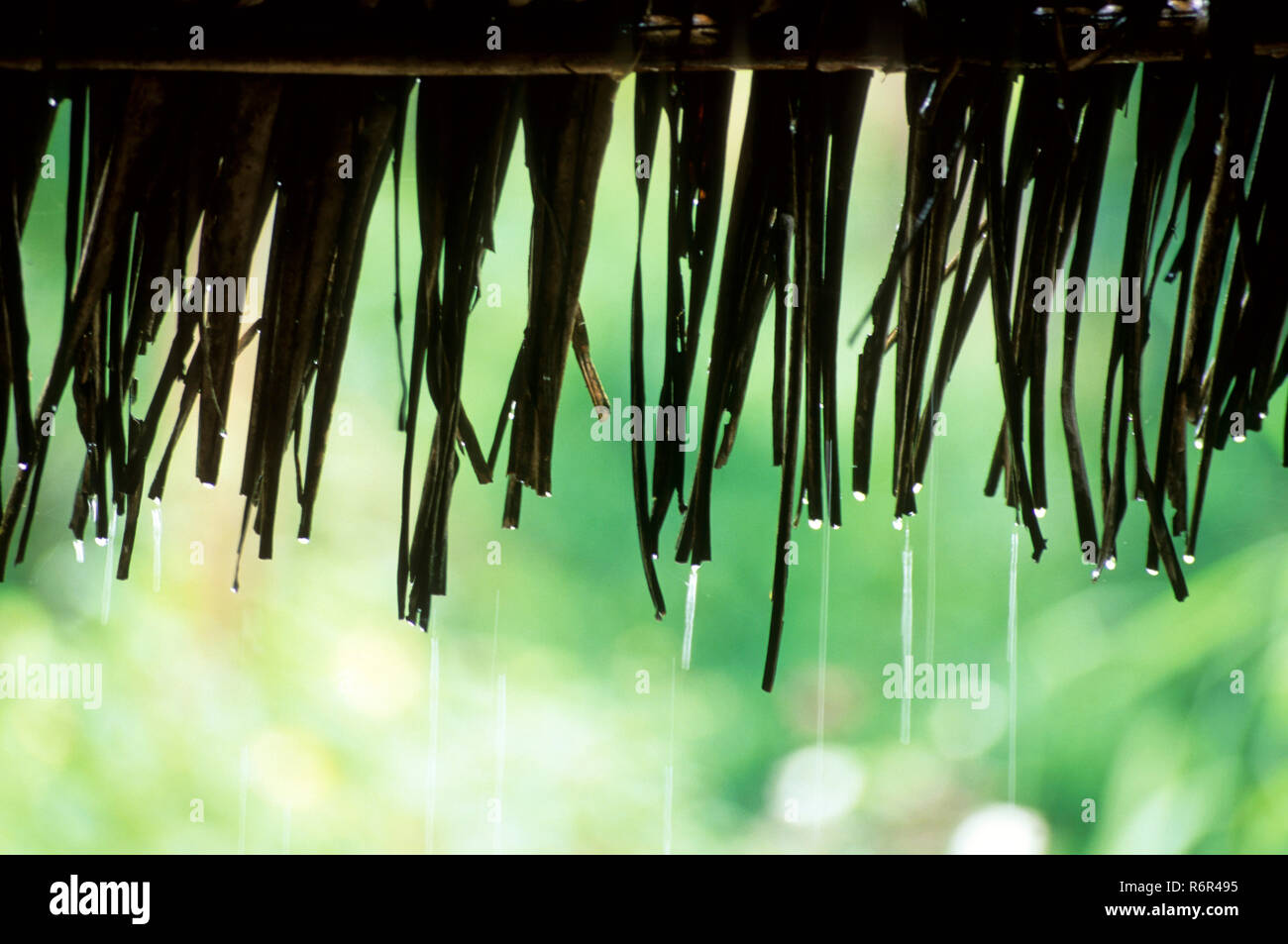 Keep from falling hi-res stock photography and images - Alamy