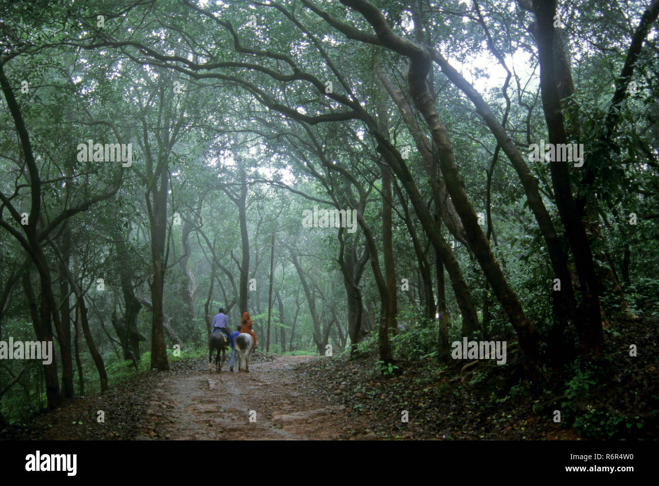 horse riding, matheran, maharashtra, india Stock Photo - Alamy