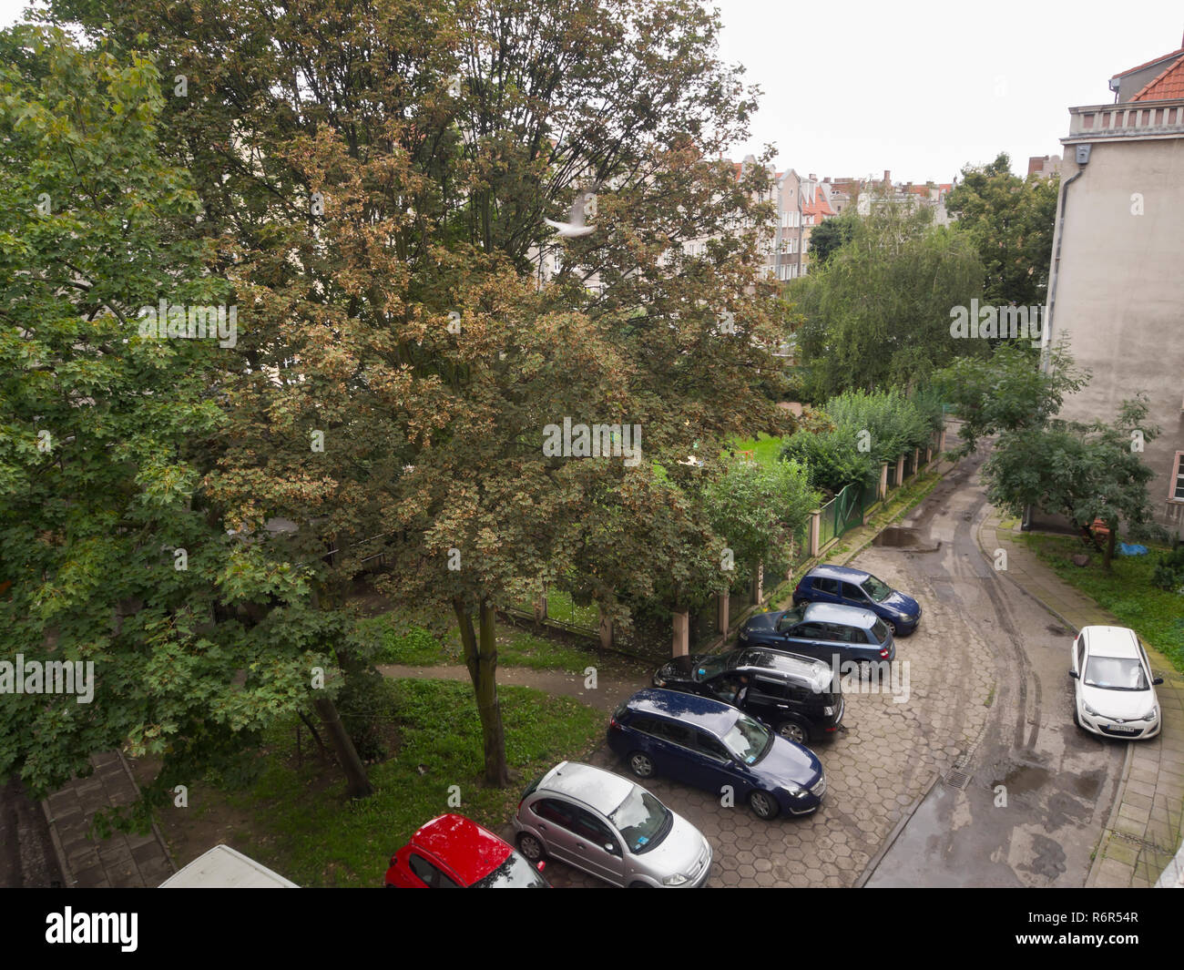 Inner city backyard between old residential apartment blocks in the ...