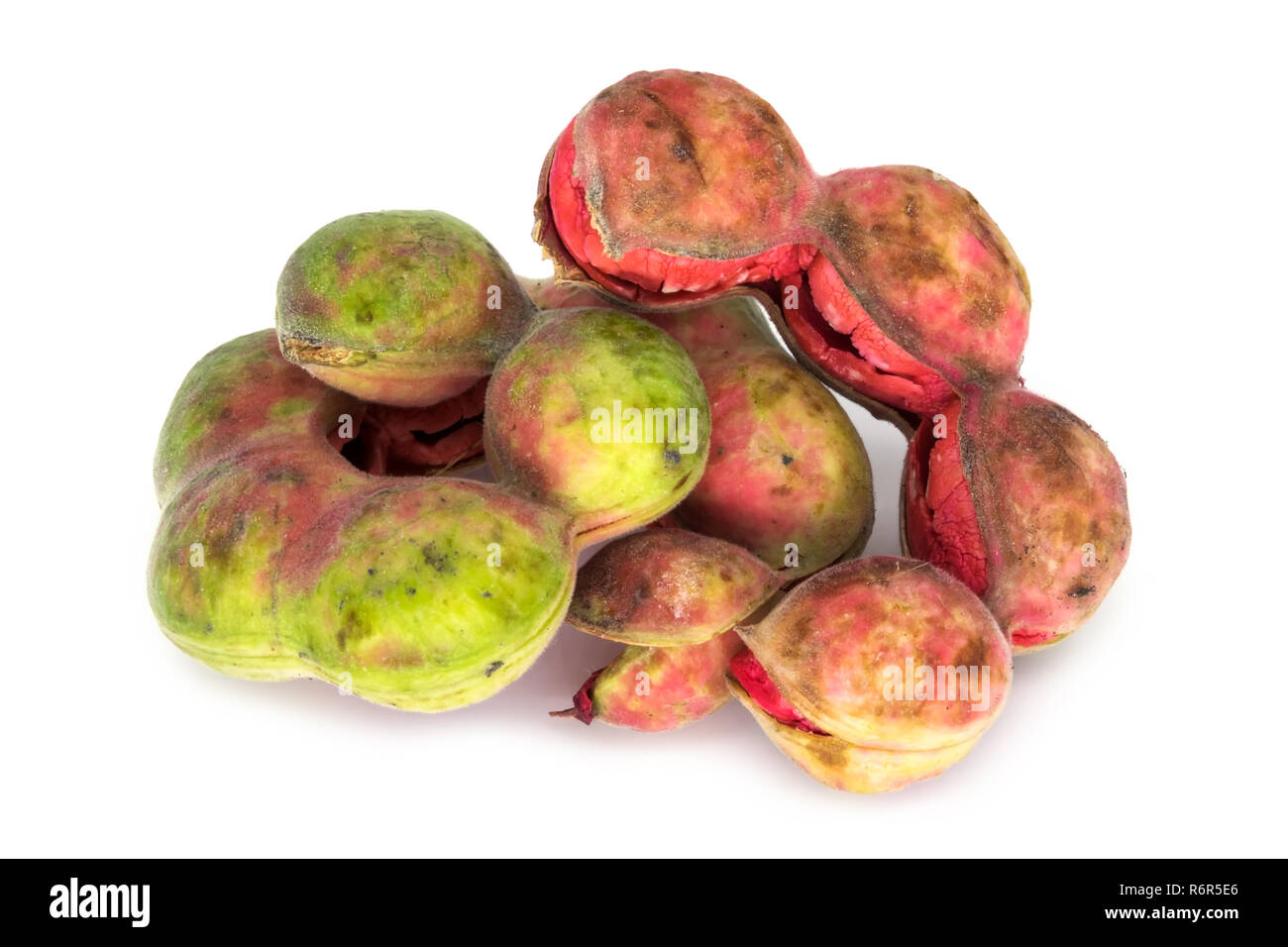Manila tamarind hi-res stock photography and images - Alamy