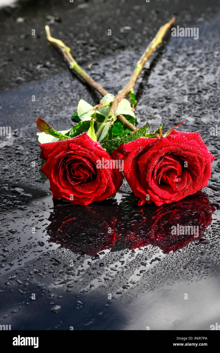 White and red roses, bouquet Stock Photo - Alamy