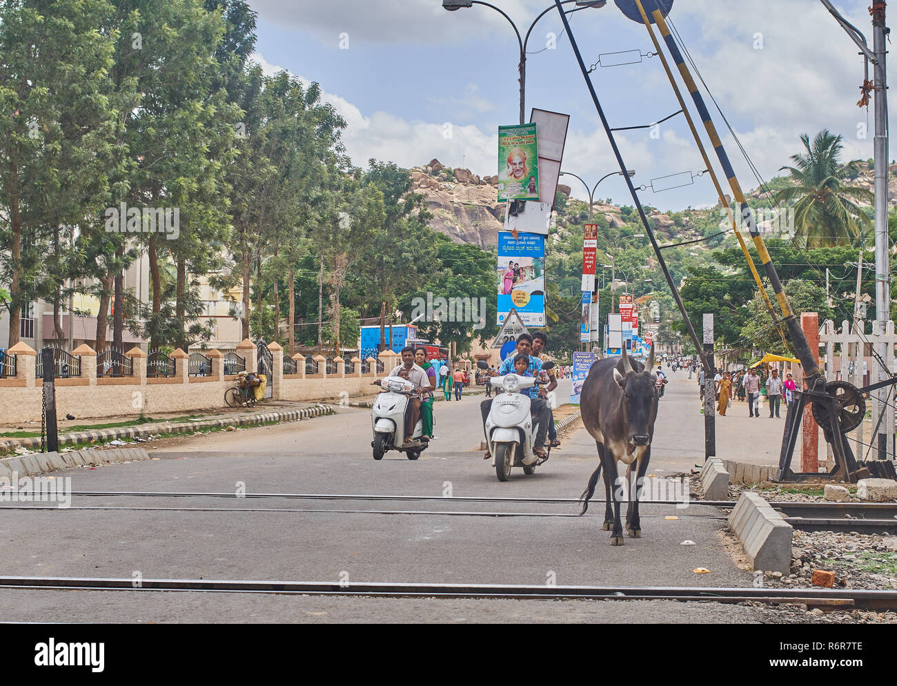 A cow and some scooters driving over a train track in south India ...